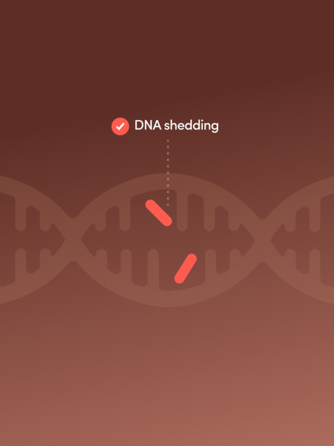Hims Multi-Cancer Test by Galleri® | Hims